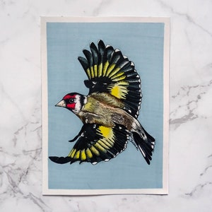 One of Kind Goldfinch Painting, Realistic Bird Art in Frame, Perfect ...