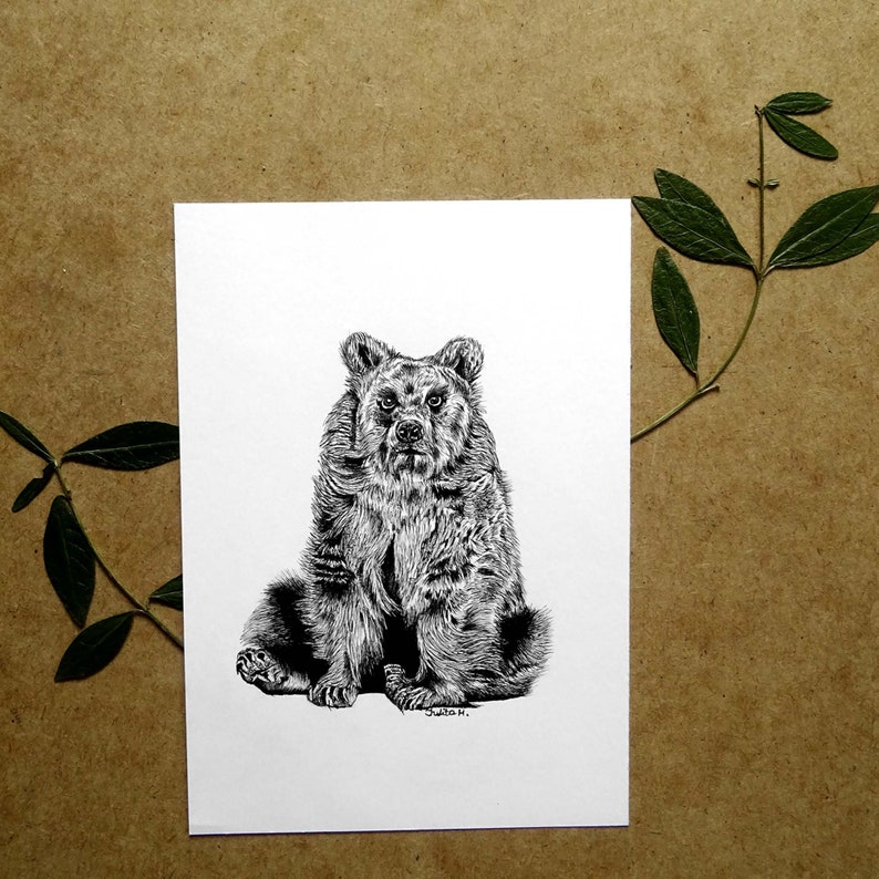 Brown Bear Sitting Original Ink Drawing Wall Decor Detailed - Etsy