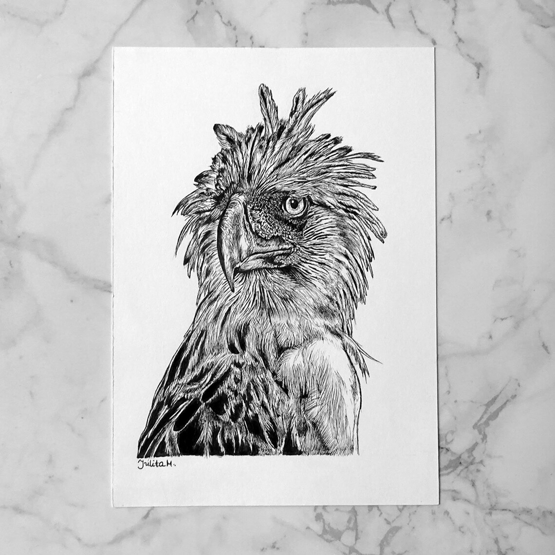 The Philippine Eagle Original Ink Drawing, Wall Decor Bird Portrait ...