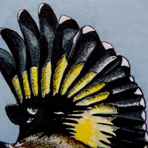 One of Kind Goldfinch Painting, Realistic Bird Art in Frame, Perfect ...