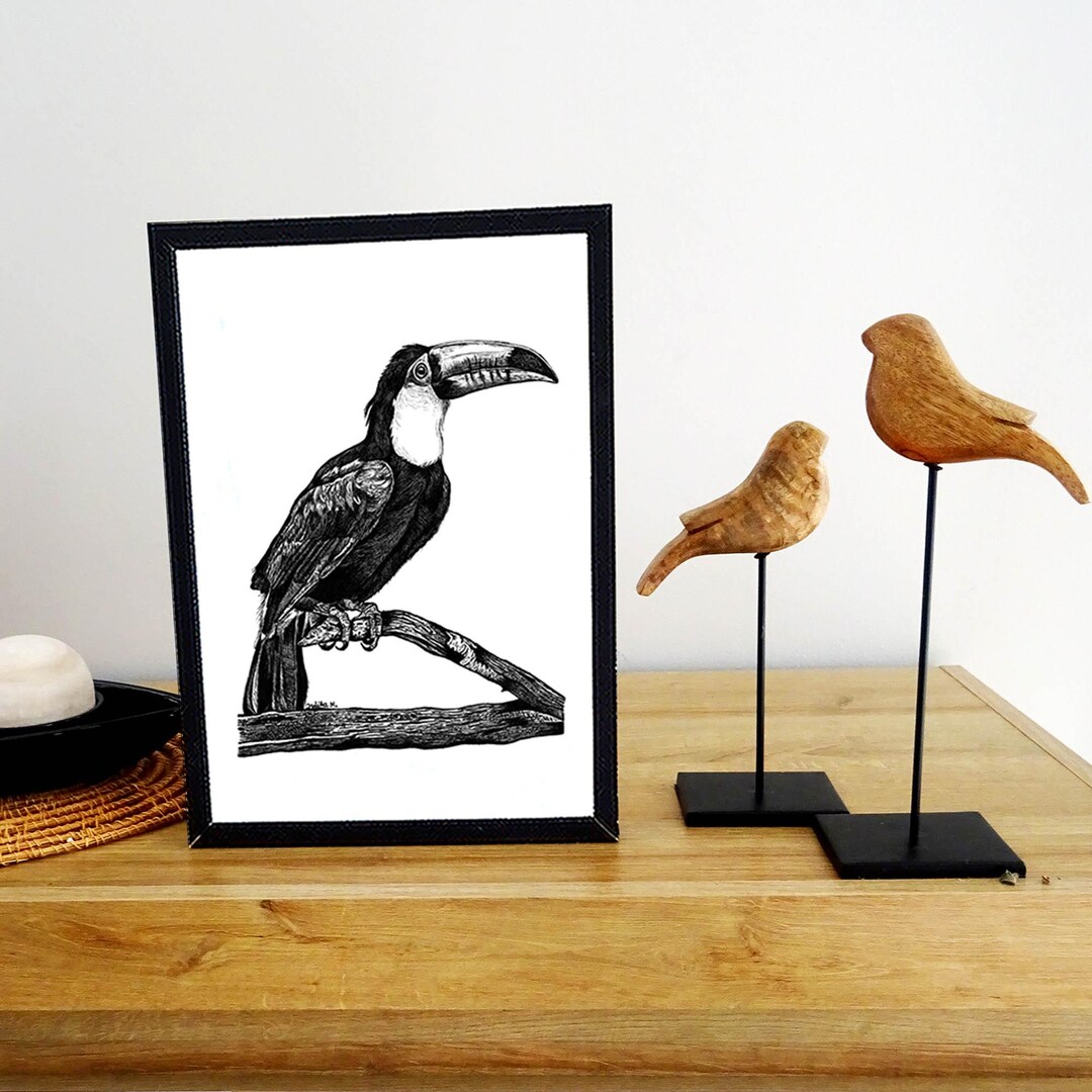 Toco Toucan Original Drawing, Jungle Bird Art, Framed Artwork - Etsy
