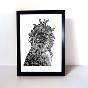 The Philippine Eagle Original Ink Drawing, Wall Decor Bird Portrait ...