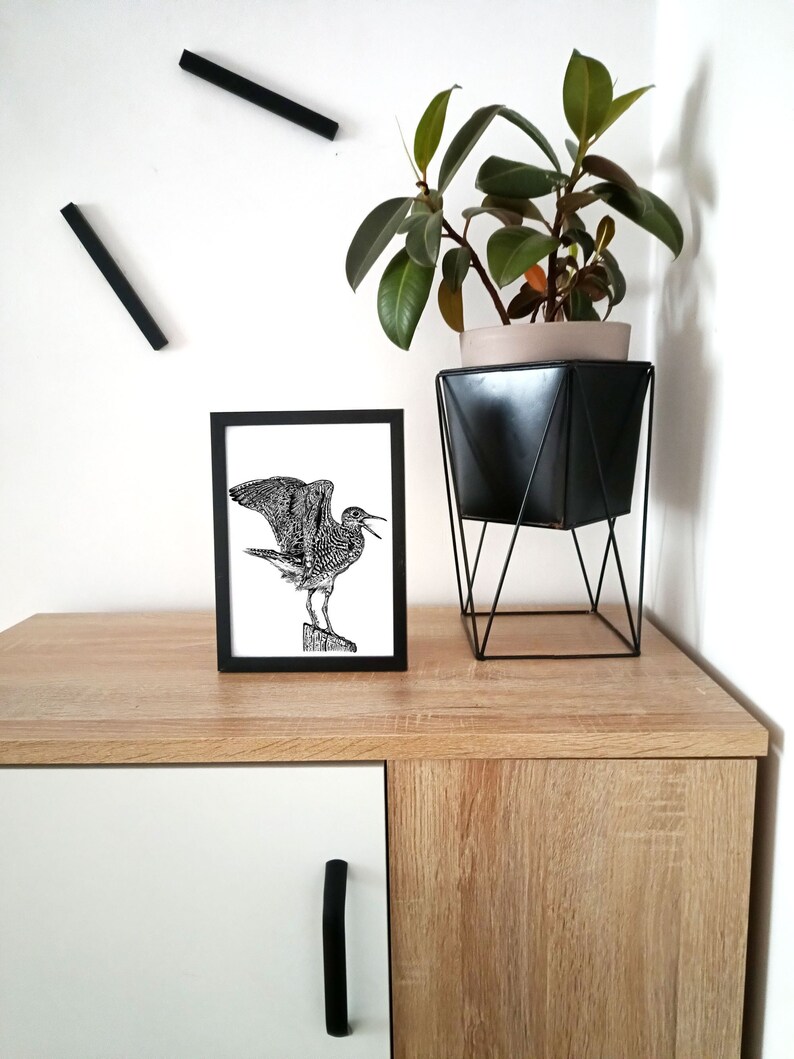 Original Upland Sandpiper Ink Drawing, Framed Coastal Art - Etsy