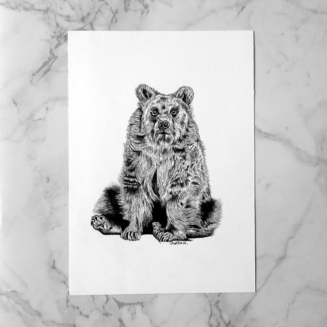 Brown Bear Sitting Original Ink Drawing Wall Decor Detailed - Etsy