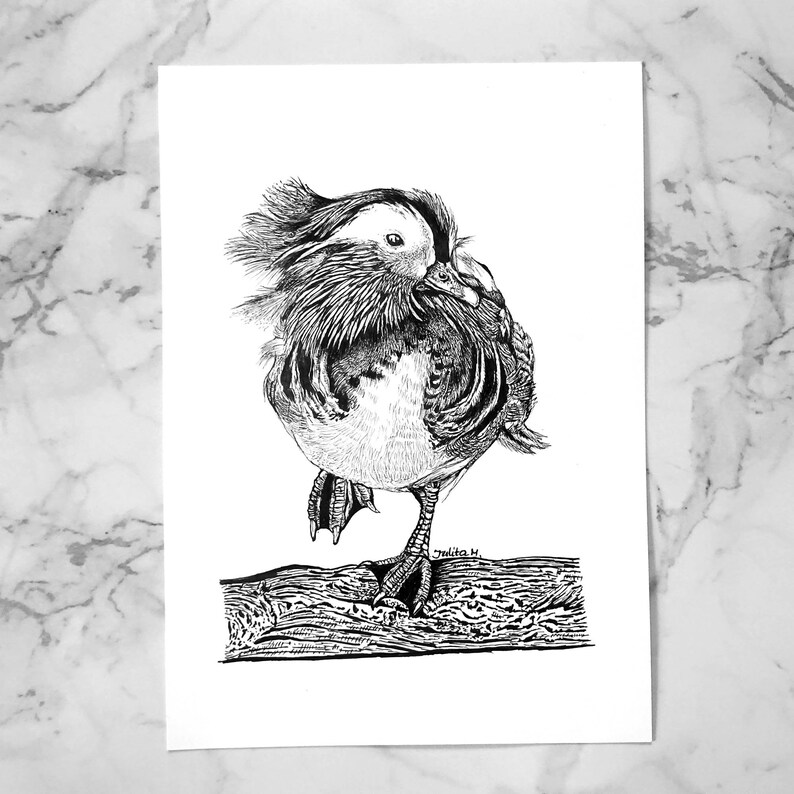 Mandarin Duck Dancing Original Drawing, Wall Decor River Bird Portrait ...