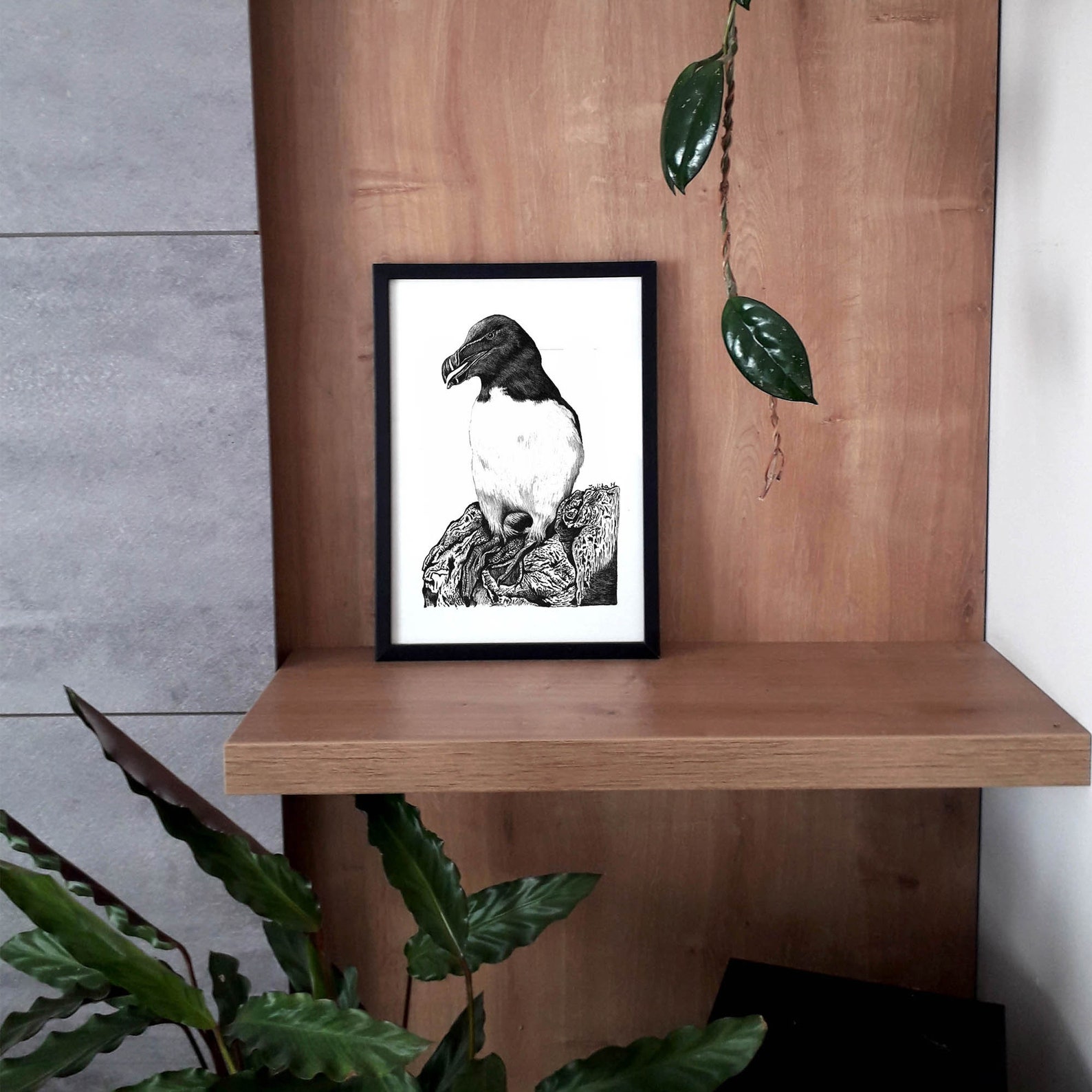 Razorbill Original Ink Drawing Wall Decor Vintage Icelandic - Etsy