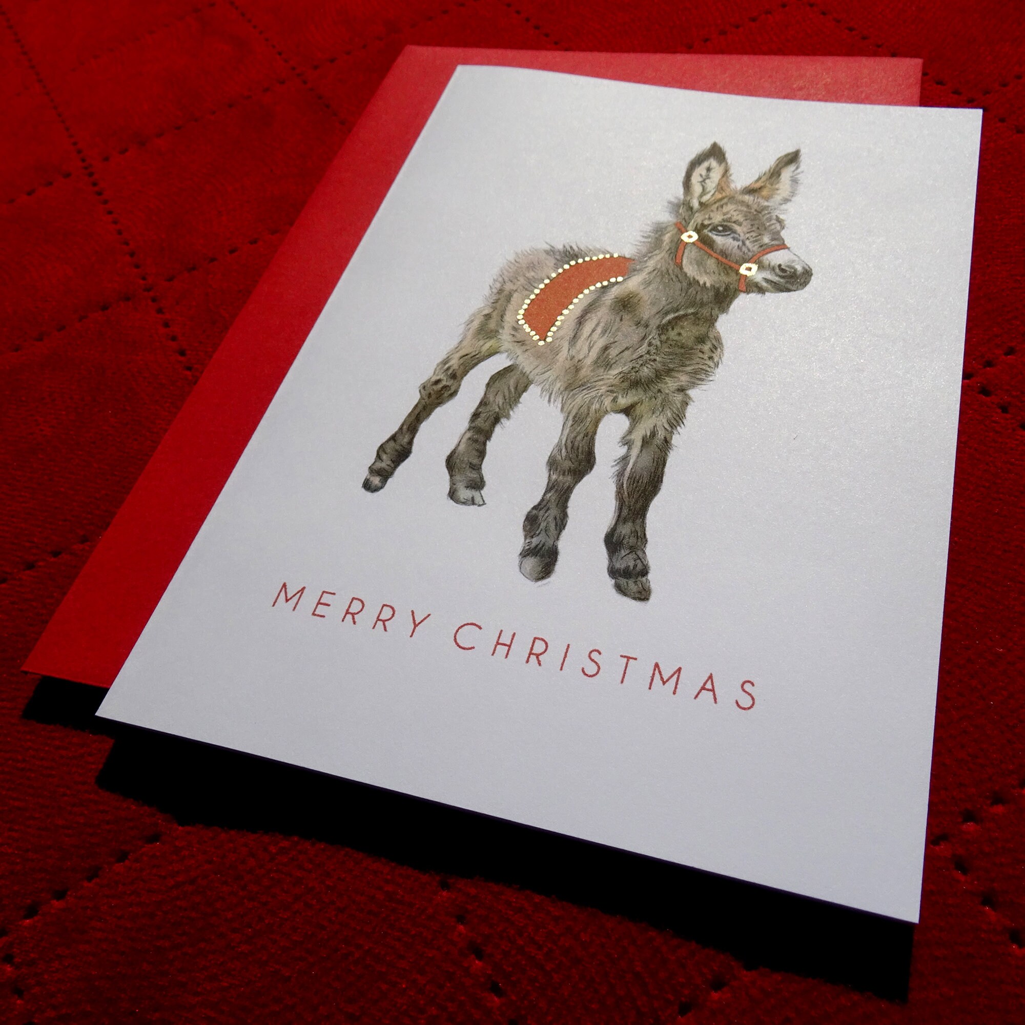 Baby Donkey Tratitional Christmas Card, Merry Xmas Gift for Animal ...