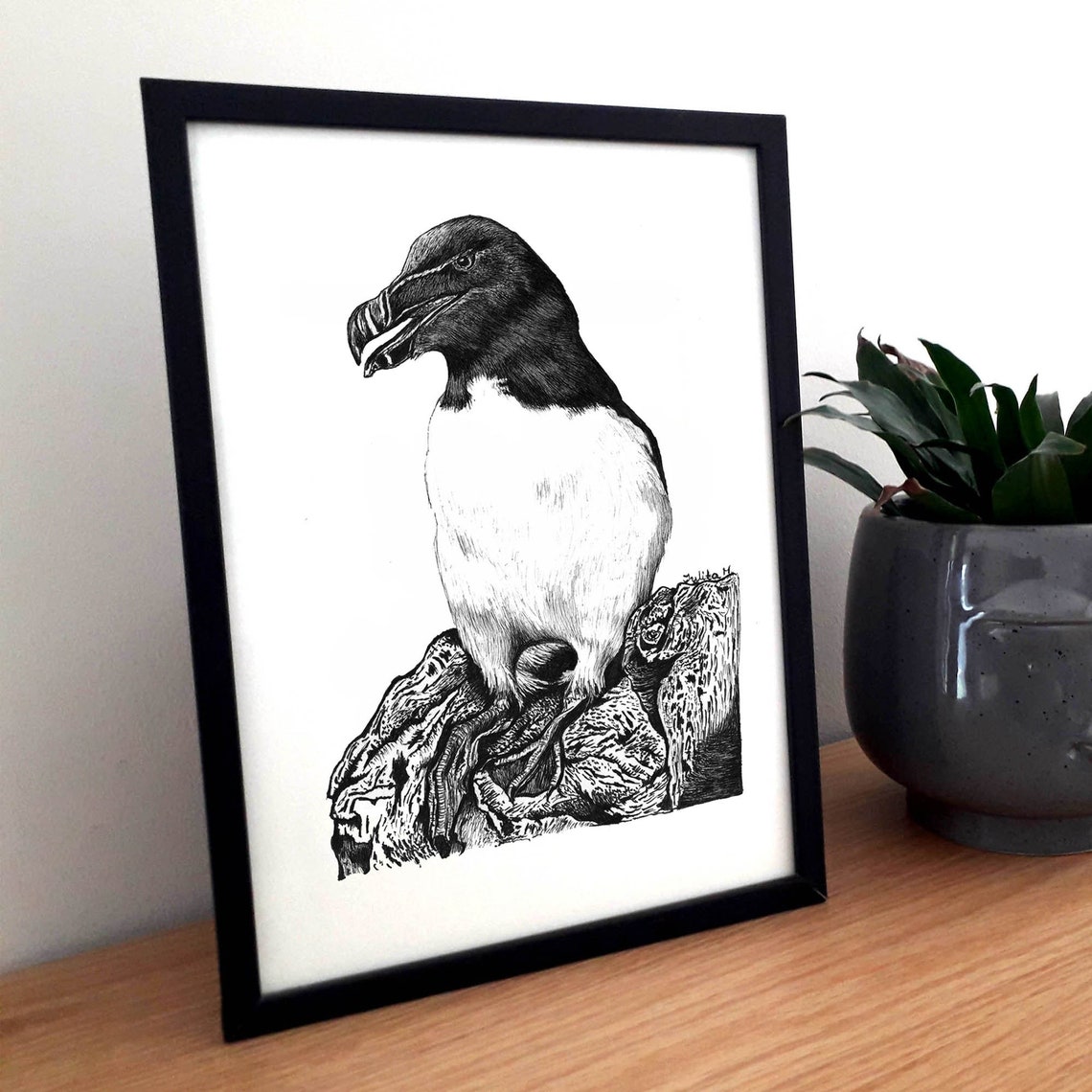 Razorbill Original Ink Drawing Wall Decor Vintage Icelandic - Etsy