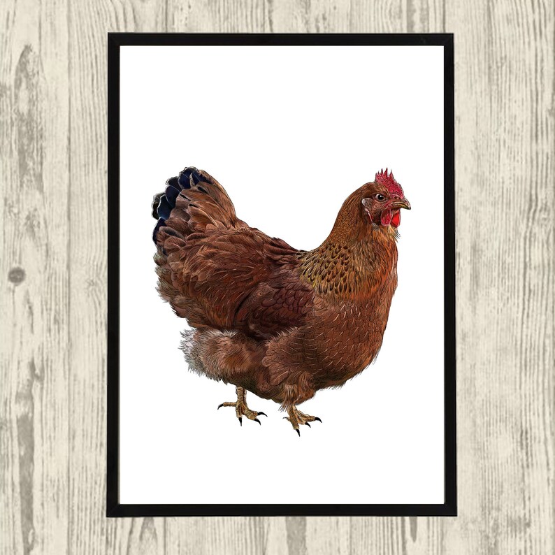 Hen Print for Farm Animal Lover, Chicken Wall Decor to Frame, Nursery ...