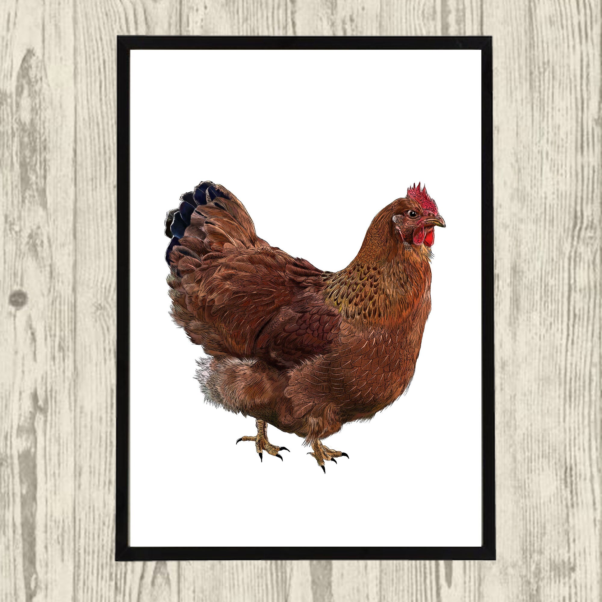 Hen Print for Farm Animal Lover, Chicken Wall Decor to Frame, Nursery ...