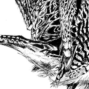 Upland Sandpiper Ink Drawing, Flying Bird Original Art, Coastal Home ...
