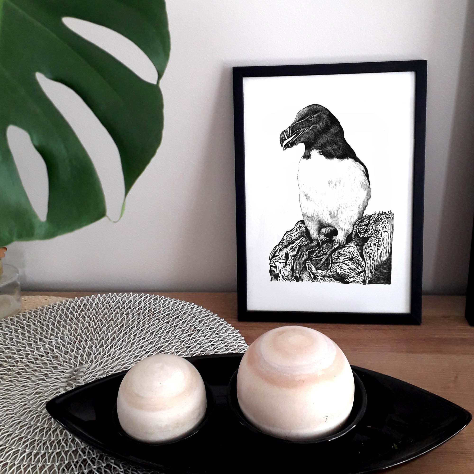 Razorbill Original Ink Drawing Wall Decor Vintage Icelandic - Etsy