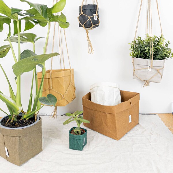 Hanging Paper Flower - Etsy