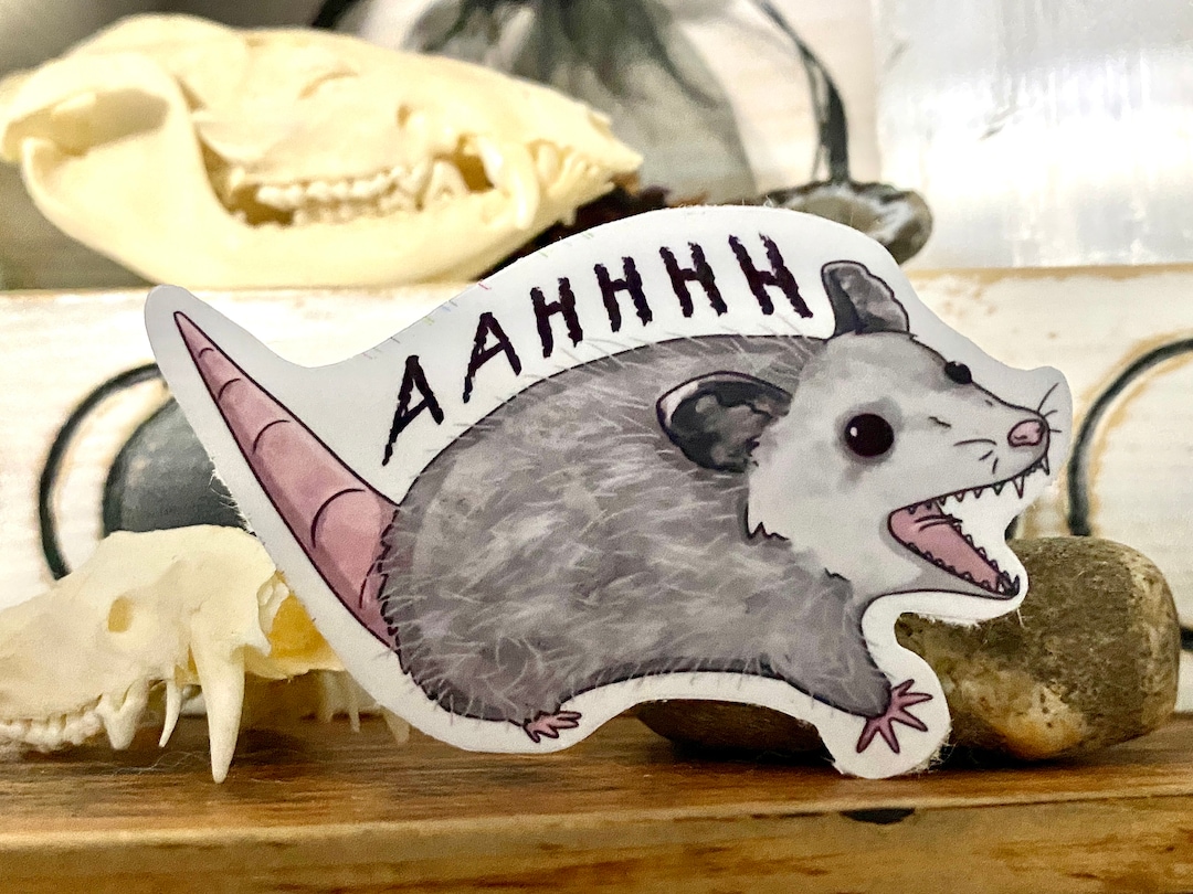 AHHHH Opossum Sticker - Etsy