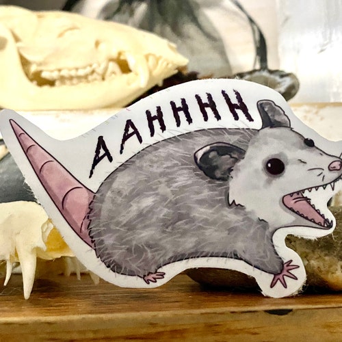 Sticker : Cute Possum Opossum Planner Craft Vinyl Art | Etsy