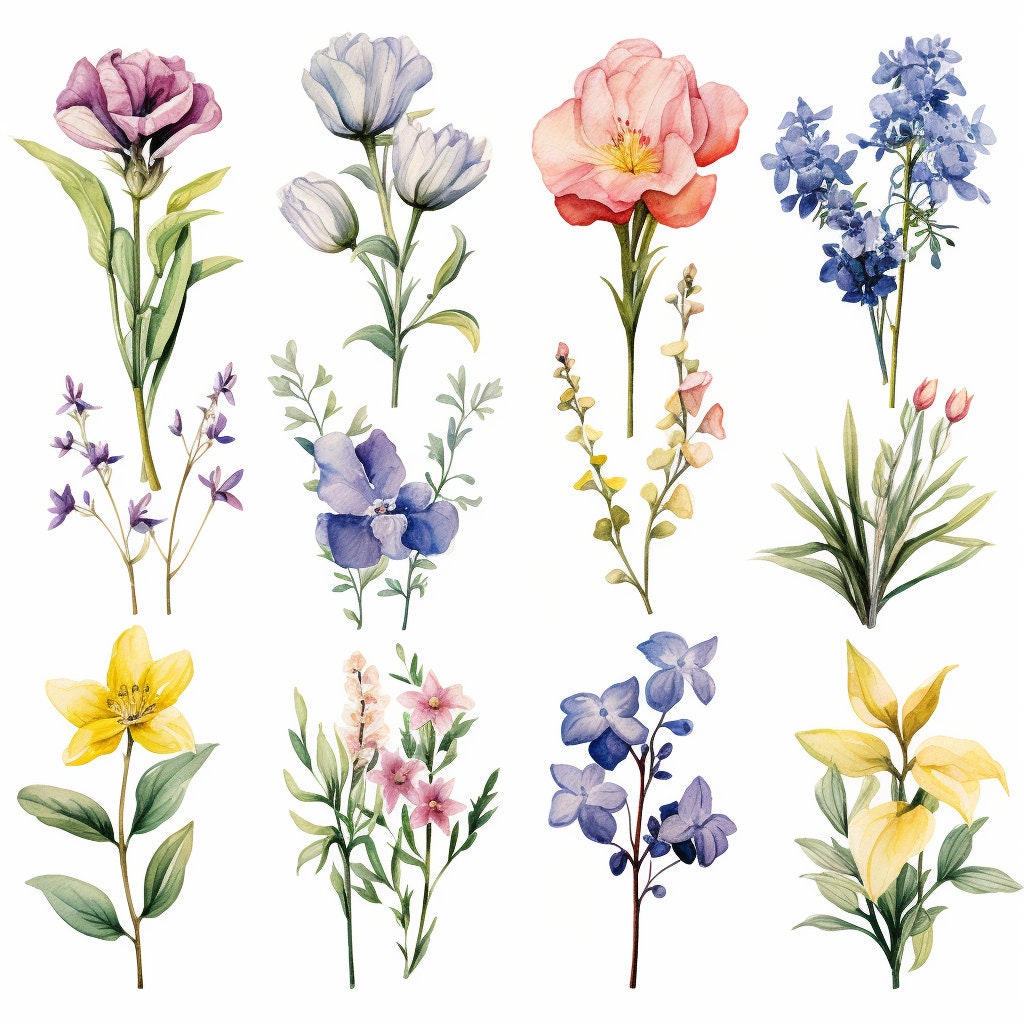 Blooming Flowers Clipart - Colorful Spring Floral Graphics - Digital ...