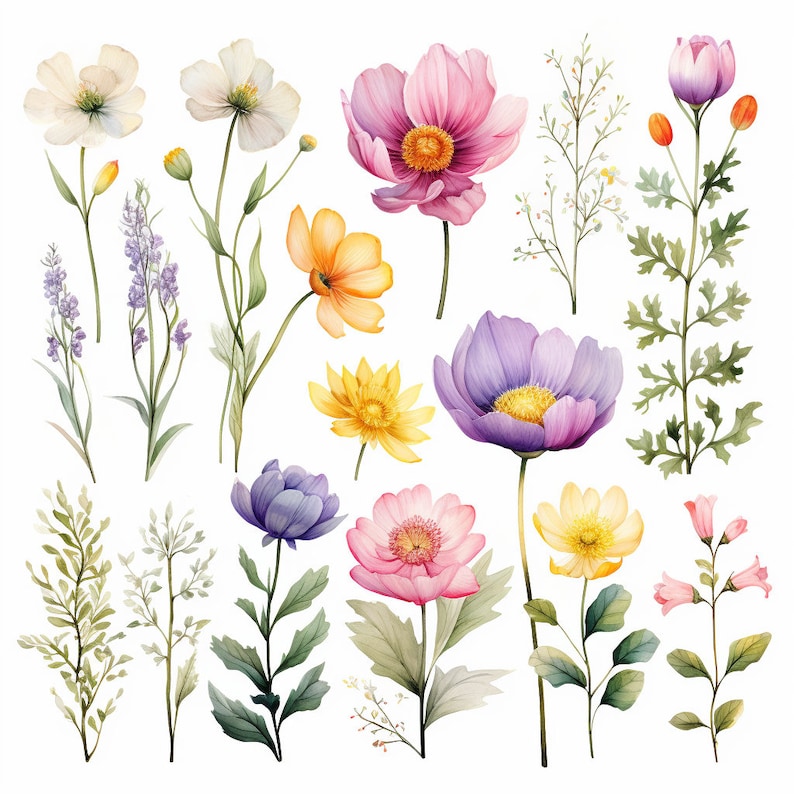 Blooming Flowers Clipart - Colorful Spring Floral Graphics - Digital ...