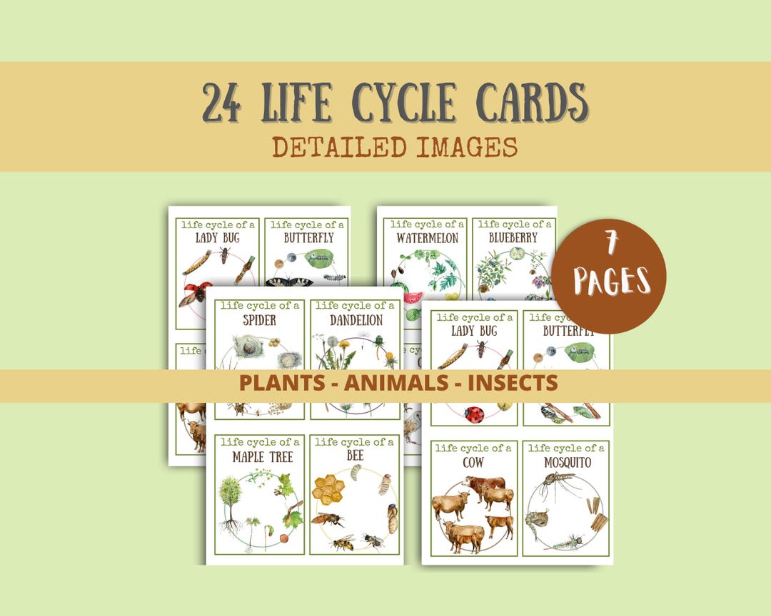 Life Cycle Mini Cards biology Science Instant Download Educational ...