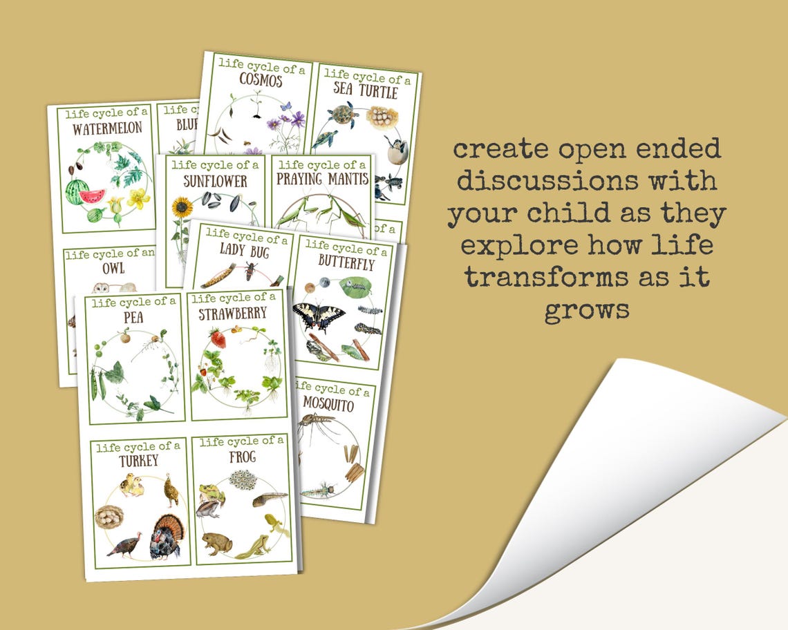 Life Cycle Mini Cards biology Science Instant Download Educational ...