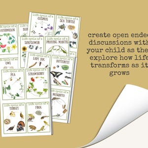 Life Cycle Mini Cards biology Science Instant Download Educational ...