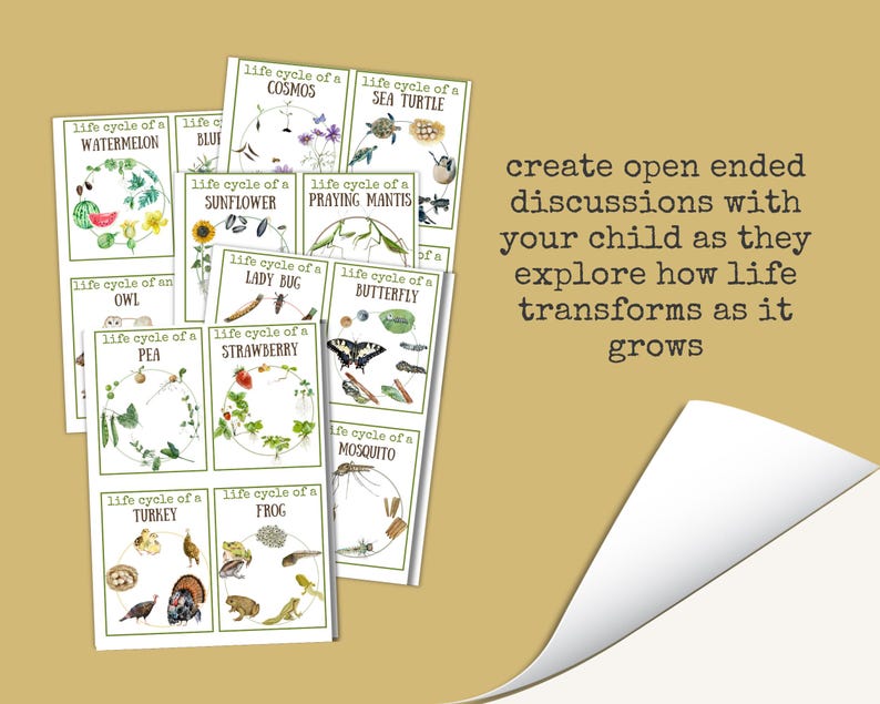 Life Cycle Mini Cards biology Science Instant Download Educational ...