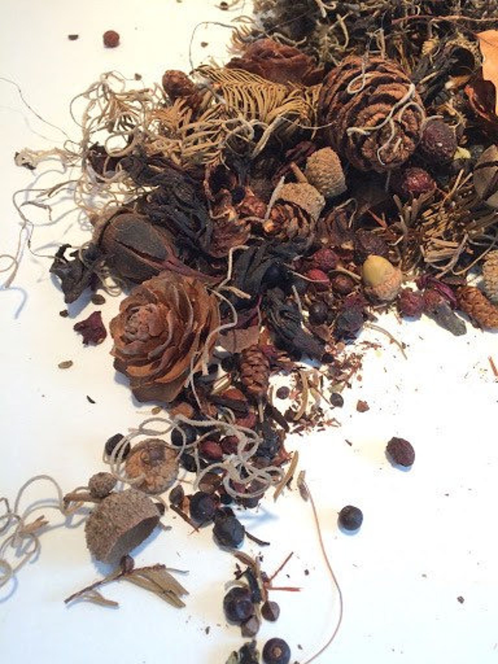 1 LB Pot Pouri Rain Forest Pot Pouri Amazing Forest Scented - Etsy