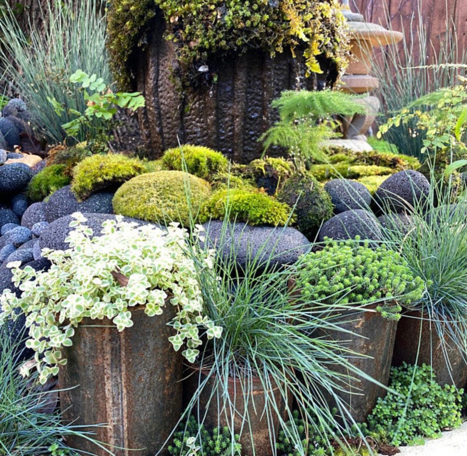 20x 1 Gallon Bags of Live Moss Kit Organic Oregon Forest - Etsy