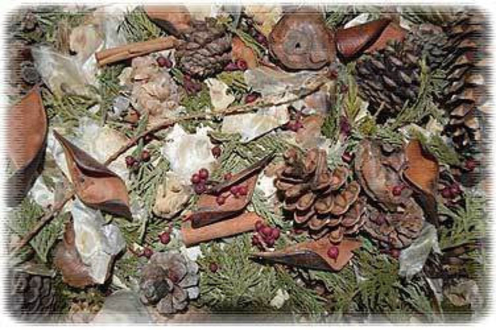 1 LB Pot Pouri Rain Forest Pot Pouri Amazing Forest Scented - Etsy