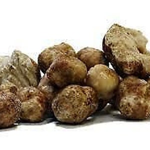 12oz Gourmet Oregon White Truffle Soil Inoculate fluid ,tuber ...