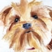 Yorkie Birthday Card, Yorkshire Terrier Happy Birthday Dog Card (1 ...
