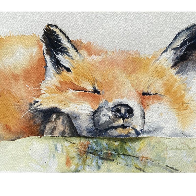 Blank on Inside Cards - Etsy