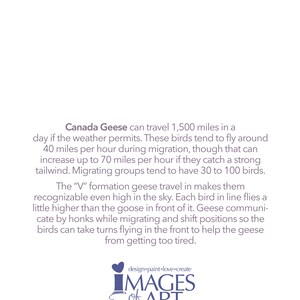 Original Watercolor Canadian Goose Note Card, 4.25x5.5 Blank Inside ...