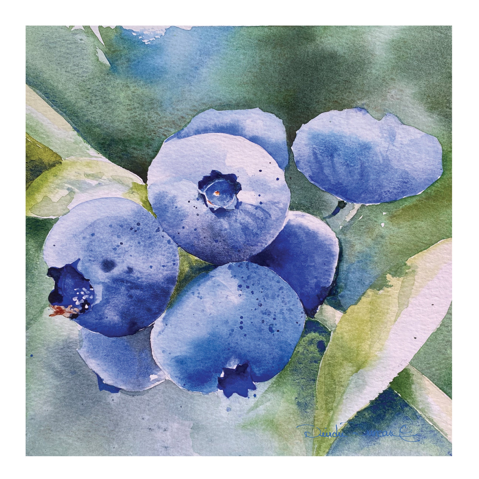 Original Blueberry Watercolor Note Cards, 5x5 Blank Inside Cards ...