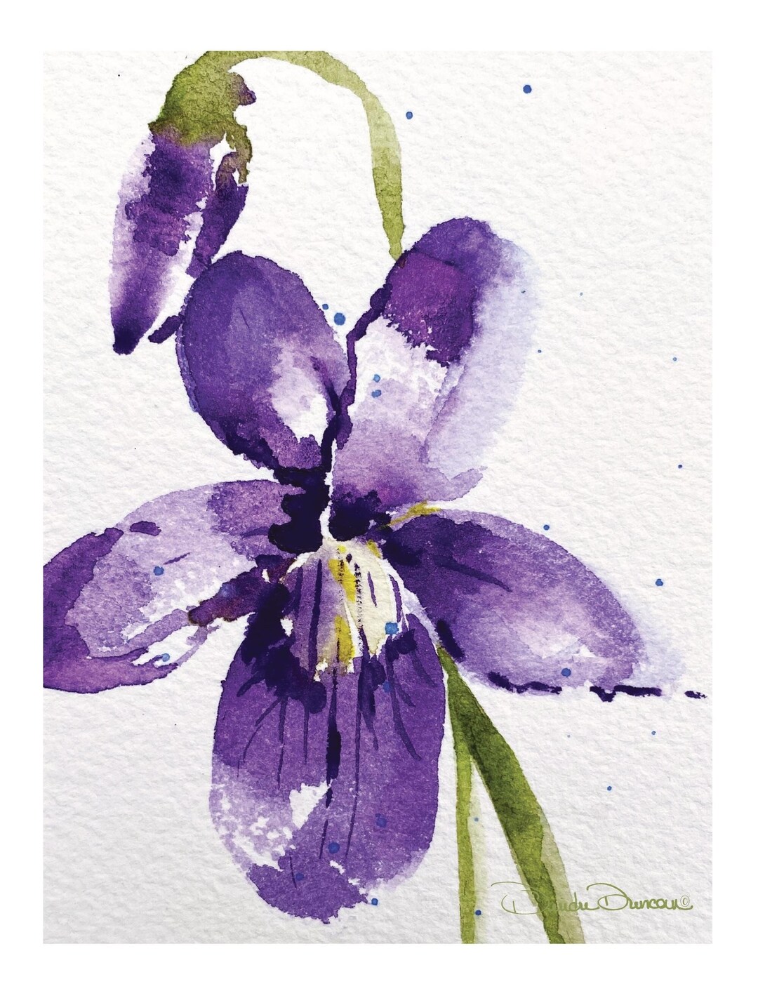 Violet Flower Watercolor Note Cards: February Birth Flower, Original ...