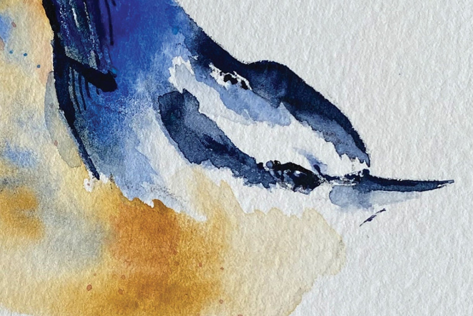 Nuthatch Bird Original Loose Watercolor Note Card, 4.25x5.5 Blank ...