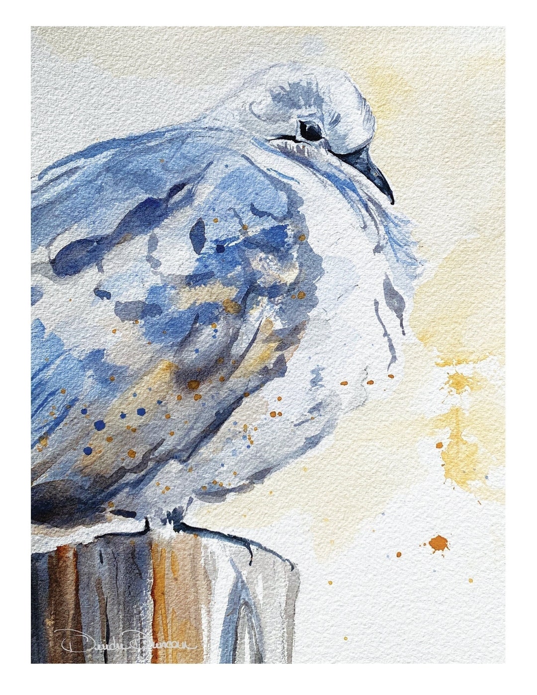 8X10 Fluffy Mourning Dove Bird Original Watercolor Painting Print, Gift ...