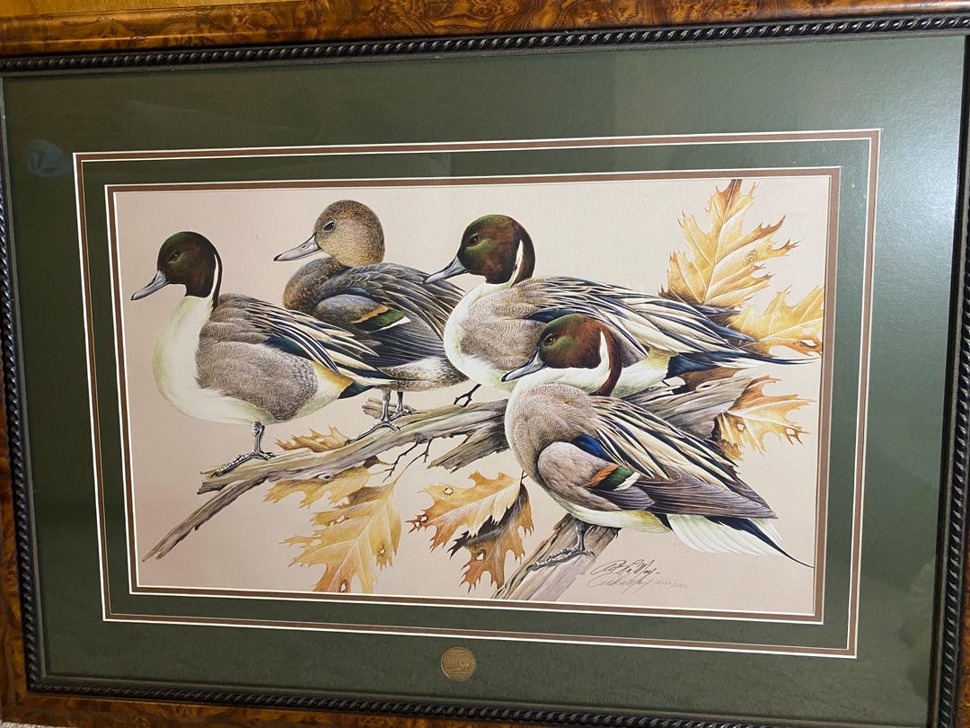 Artist Art Lamay Duck Print: Signed NWTF Award Artwork (35x25.75 ...