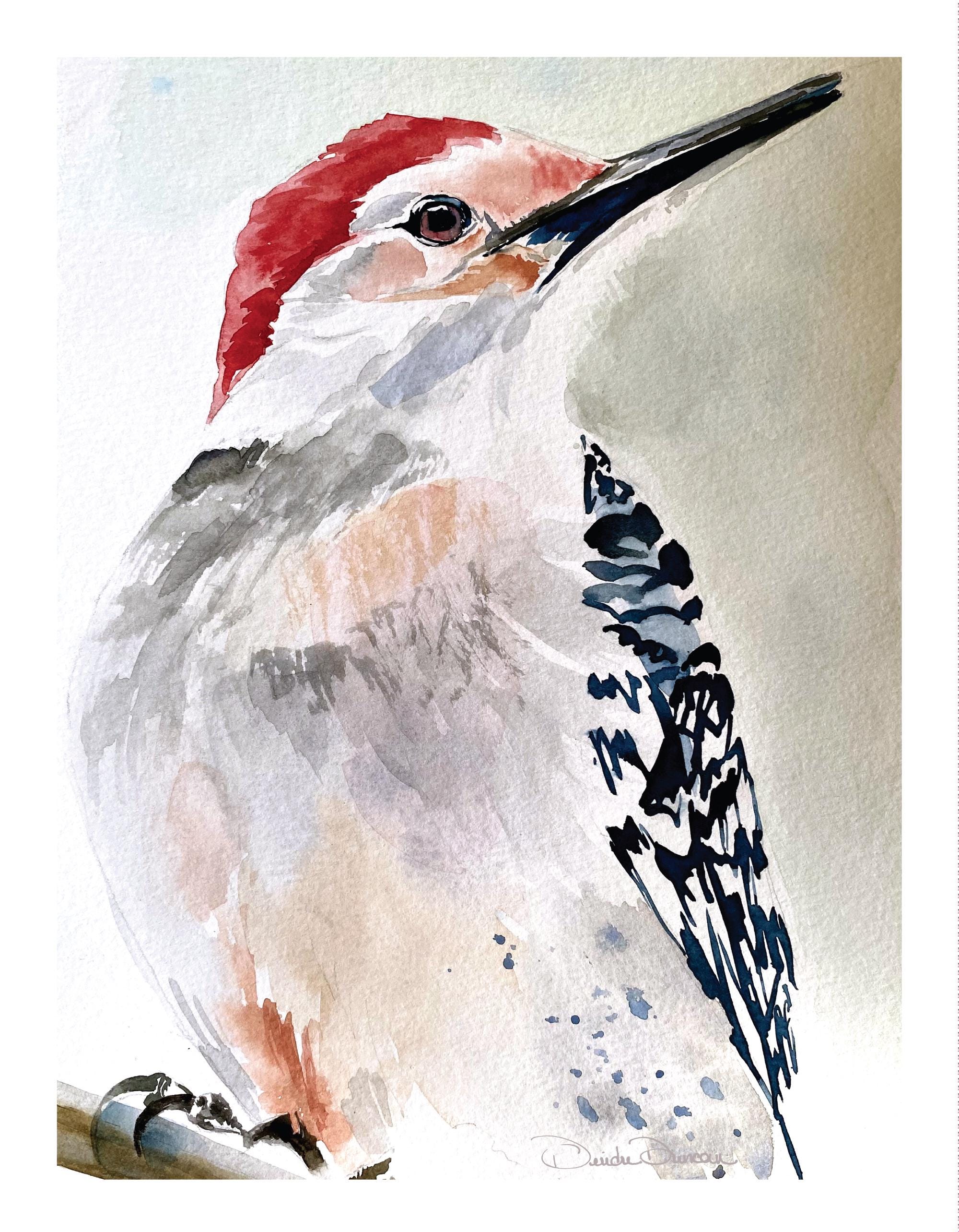 Bird Watercolor Note Card Set, Set of 10 Made From Original Artwork ...