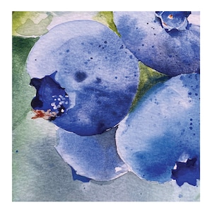 Original Blueberry Watercolor Note Cards, 5x5 Blank Inside Cards ...