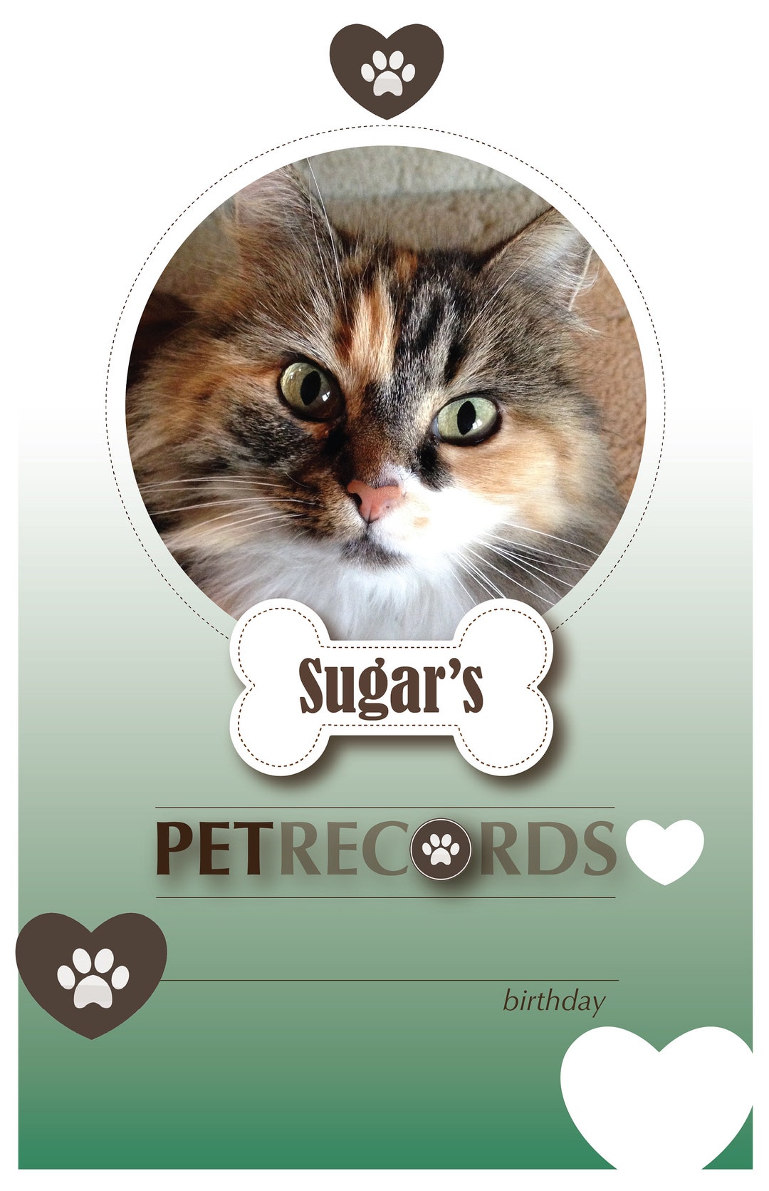 Personalized Veterinary Hospital Folders, 9x12 Pocket Pet Folder ...