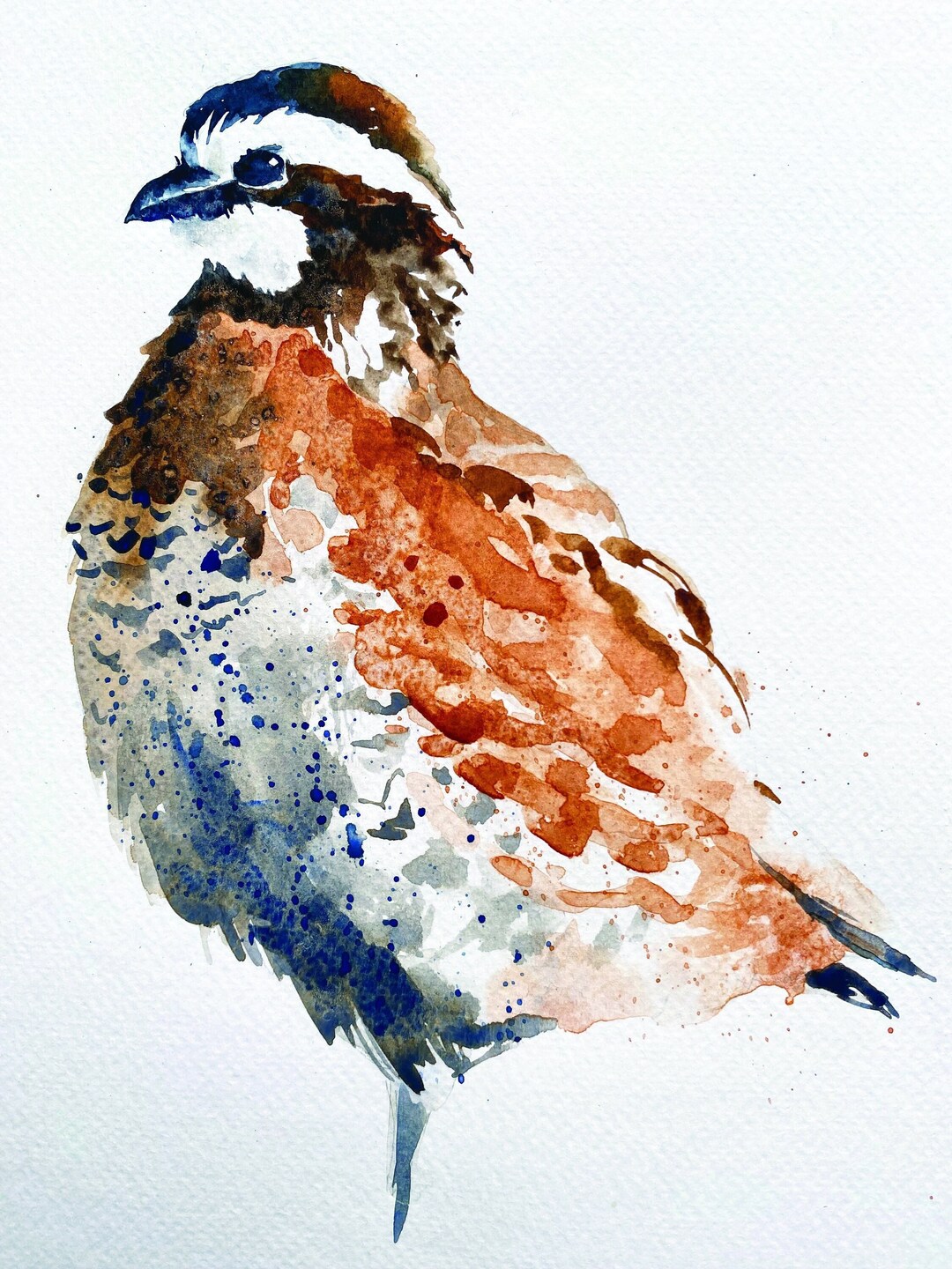 Original Quail Watercolor Painting Limited Edition Print, Gift for Bird ...