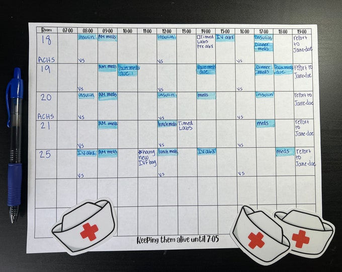 Nurse Hourly Schedule Sheet for 12 Hour Shift, Report Sheet, Medication ...