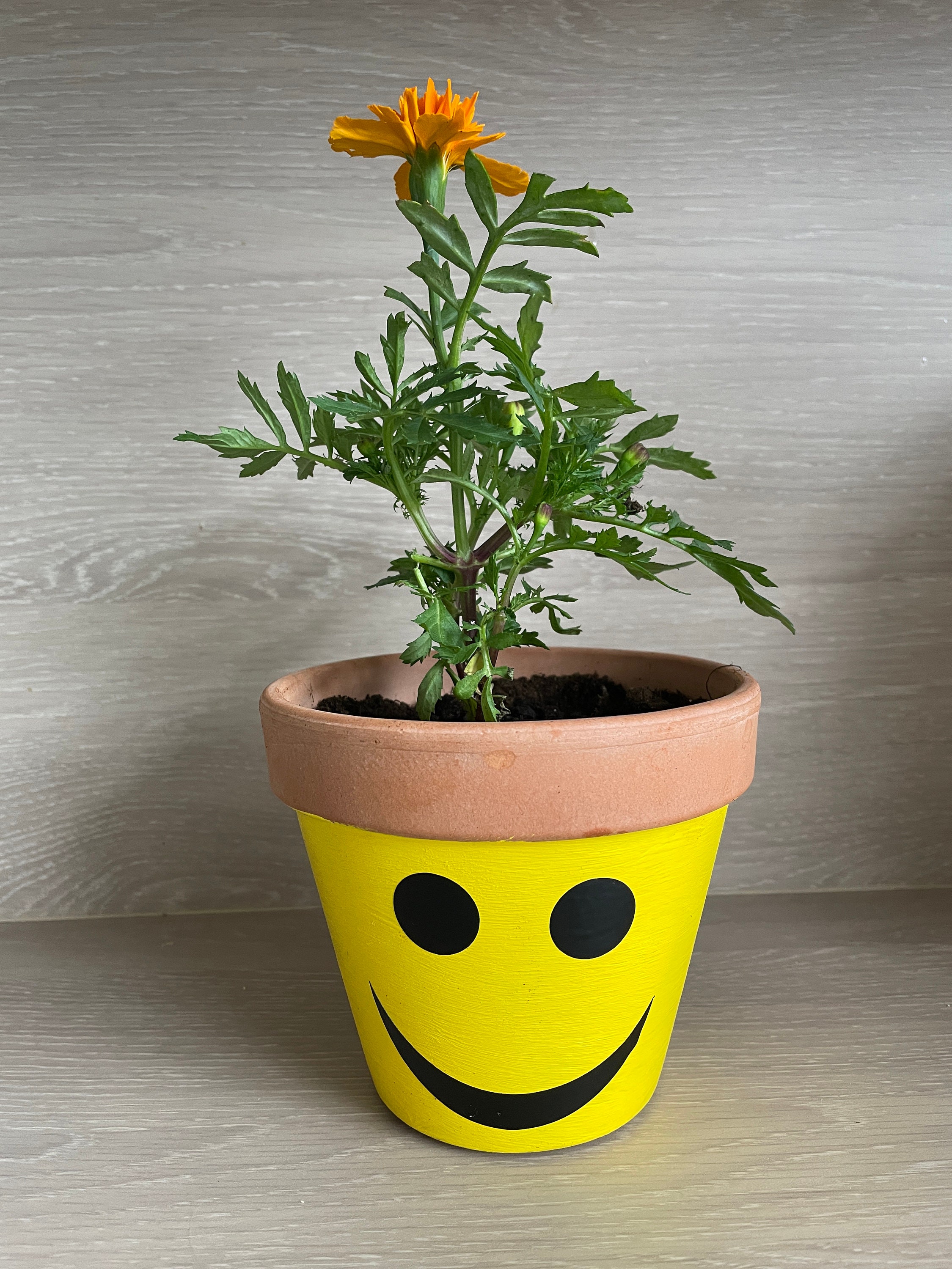 Smiley Face Emoji Terracotta Plant Pot - Etsy