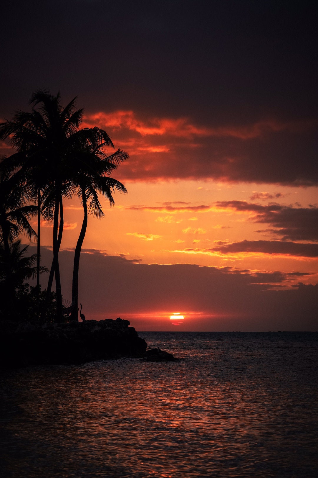 Key Largo Sunset | Sunset | Florida Keys | Palm Trees | Home Decor ...