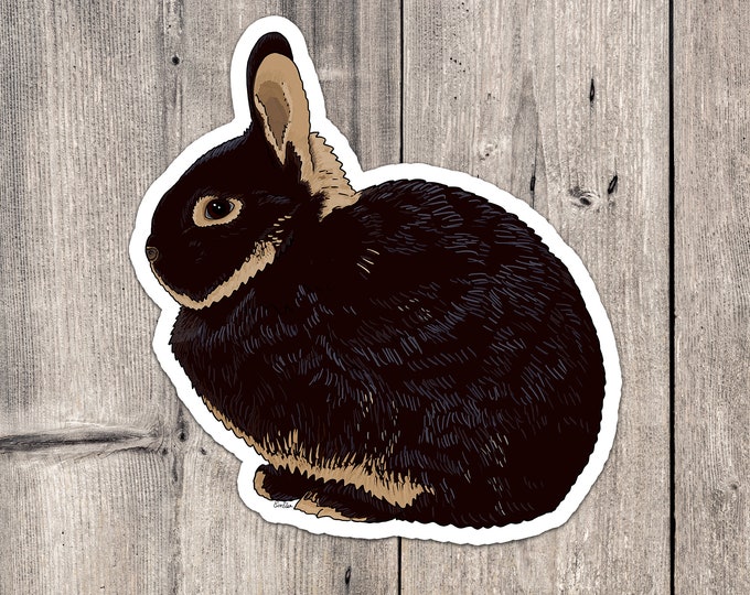 Sable point Netherland Dwarf bunny sticker cream brown rabbit vinyl ...