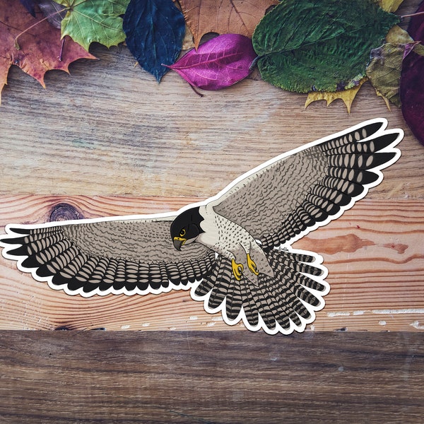 Peregrine Falcon - Etsy