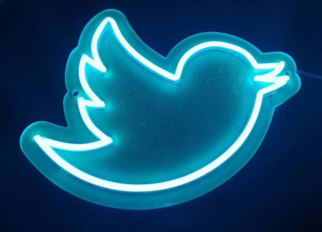 Social Media Selfie Twitter Logo Icon LED Neon Light Sign - Etsy