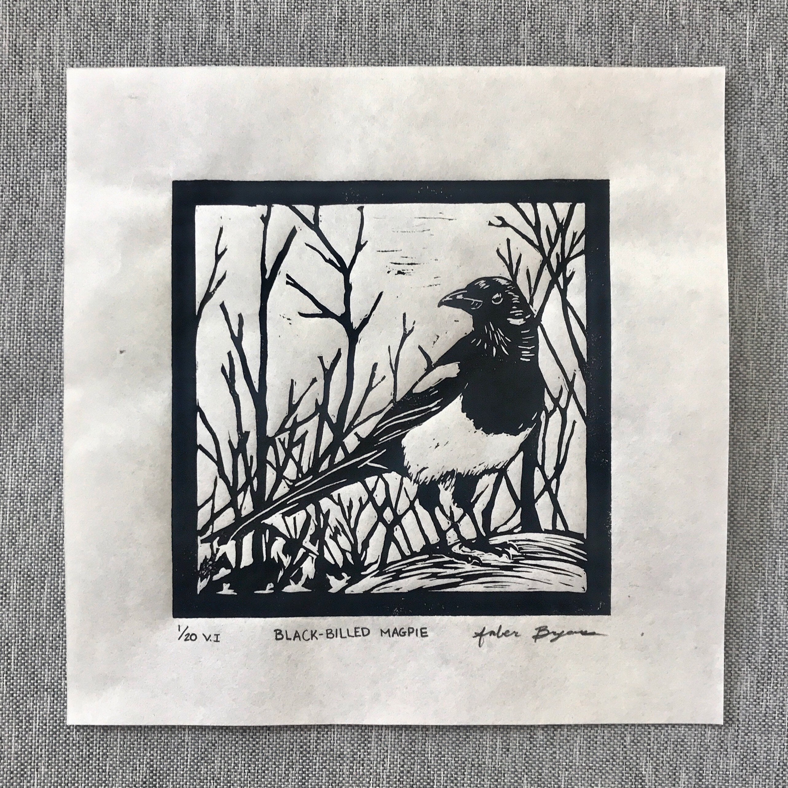 Black-billed Magpie Hand-made Linocut Print | Etsy