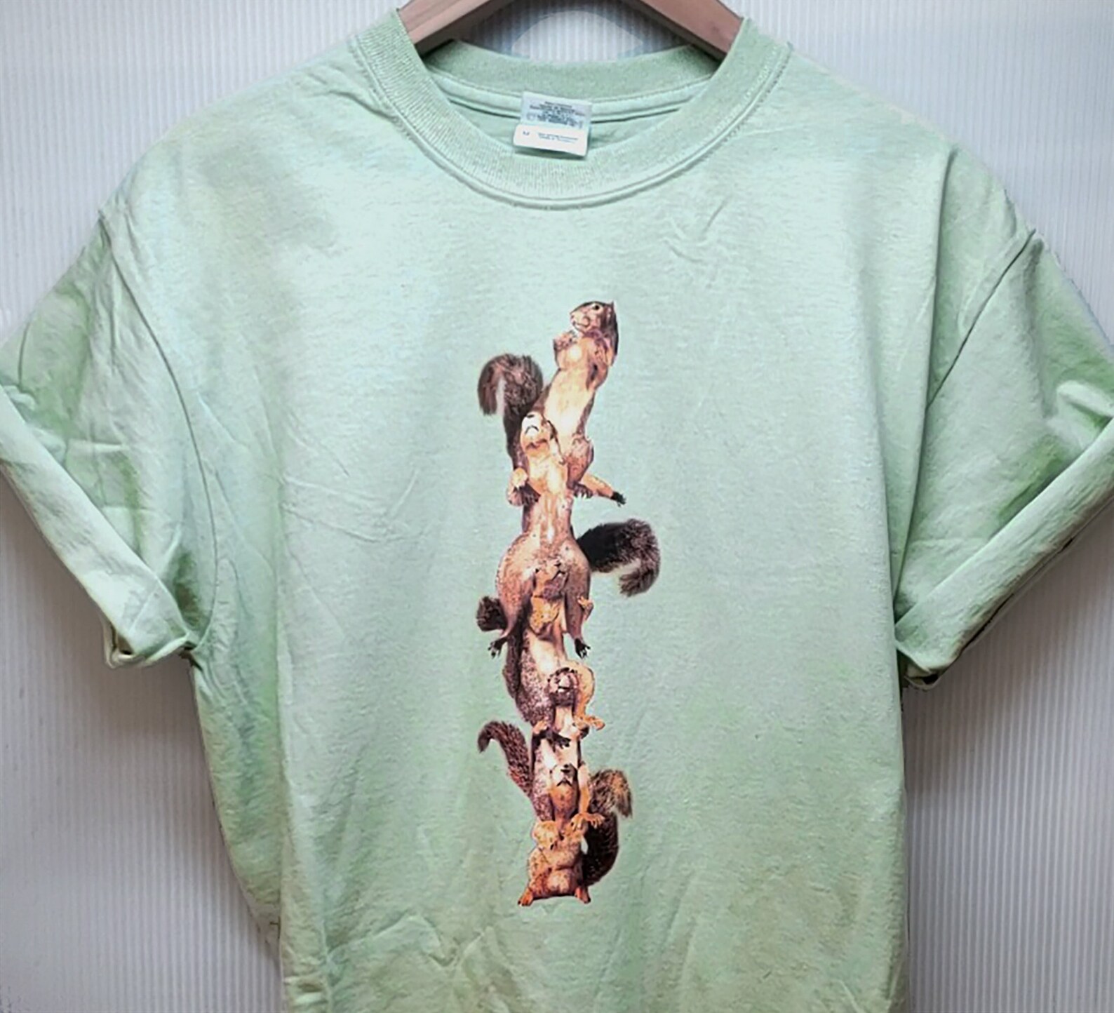 Ladder of Squirrels T-shirt: Funny Animal Lover Tee - Etsy