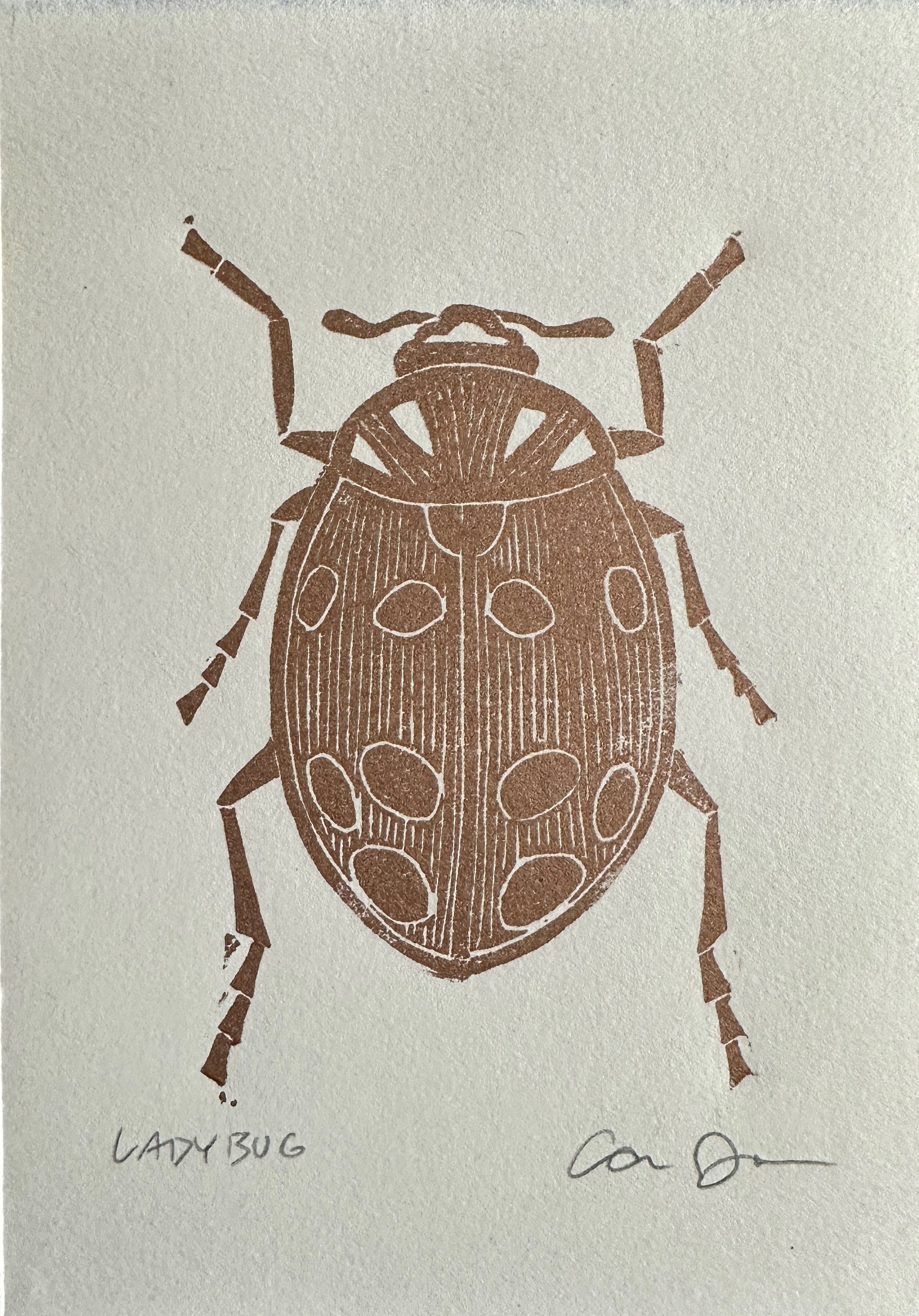 Ladybug- Hand-carved & Hand-pressed Linocut Print - Etsy